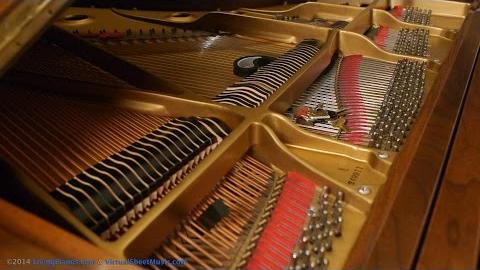 What is a Prepared Piano? - Piano Video Lesson by Robert Estrin